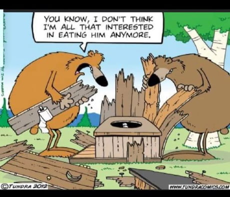 Best Funny bear Memes - 9GAG