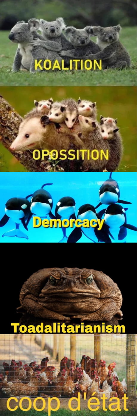 Best Funny f Memes - 9GAG