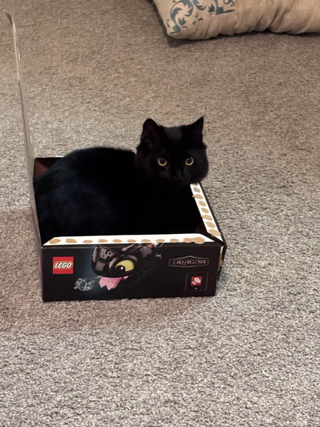 Best Funny toothless Memes - 9GAG