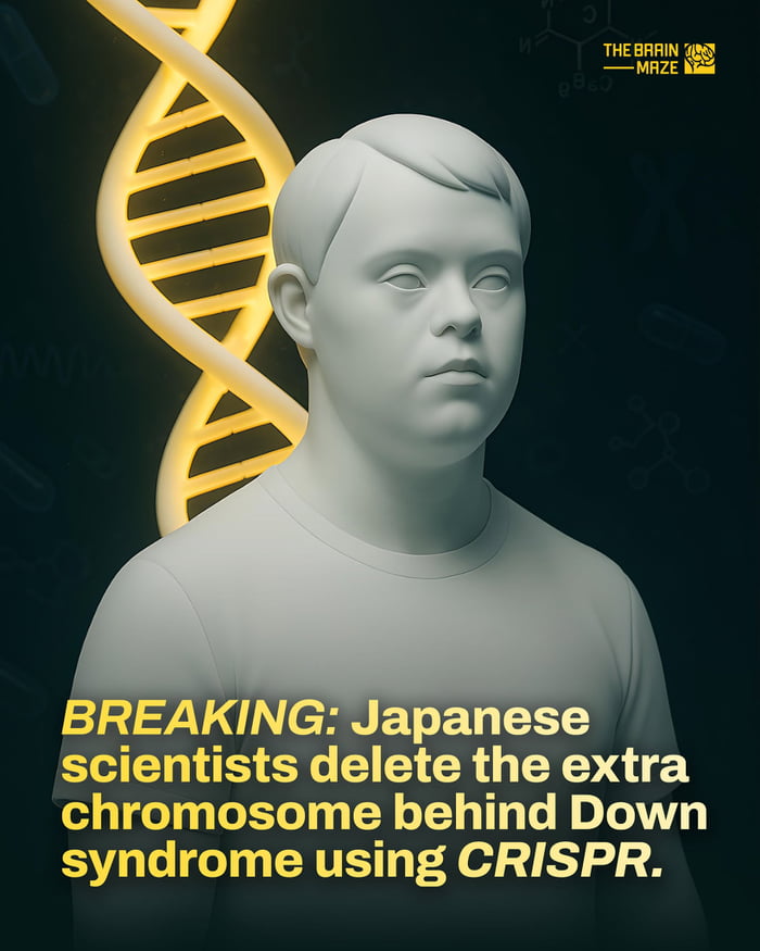 The edited cells showed improved function and normalized gene expression. Though not yet ready ...