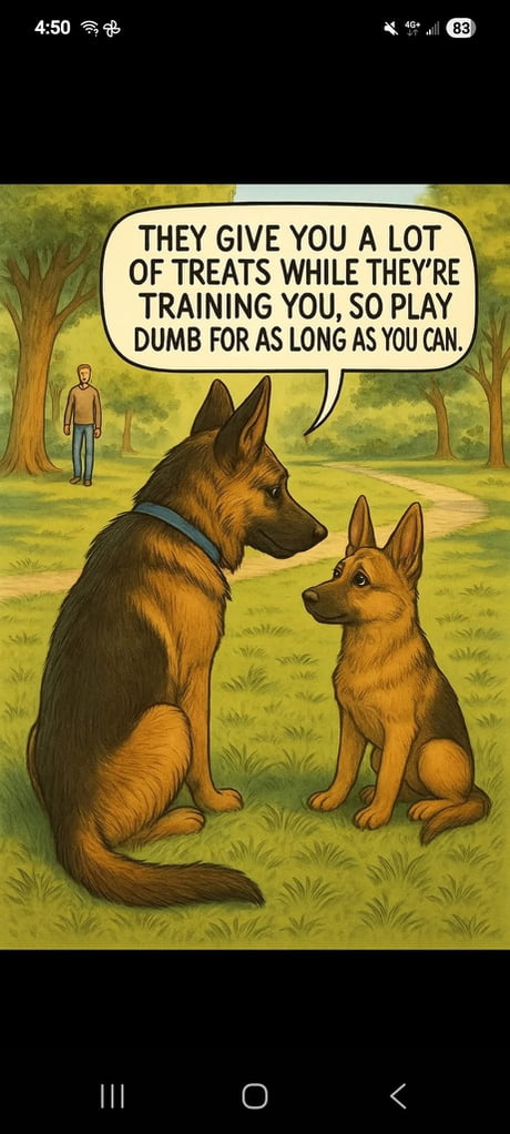 Best Funny training Memes - 9GAG