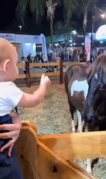 Funny Fair Memes