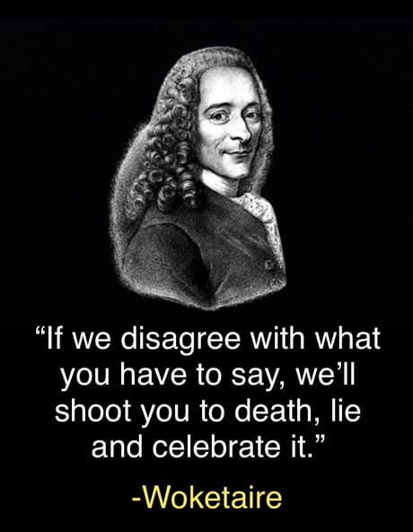 Best Funny voltaire Memes - 9GAG