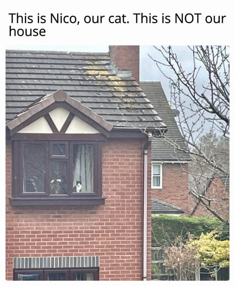 Best Funny cheater Memes - 9GAG