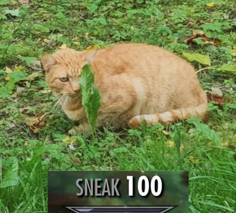 Best Funny hiding Memes - 9GAG