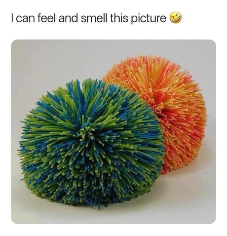 Best Funny smell Memes - 9GAG