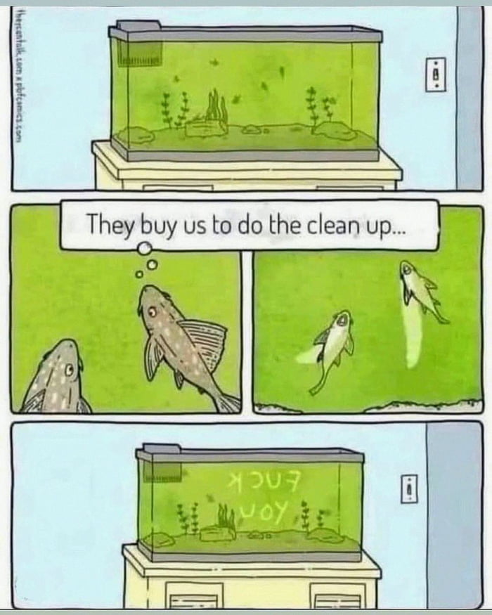 When the clean-up crew has had enough. - 9GAG