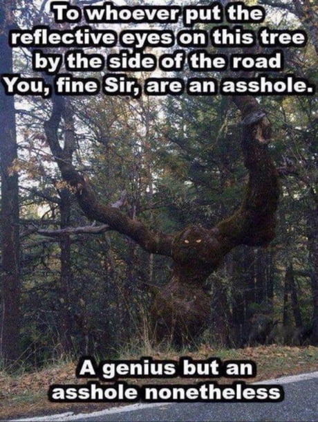 Best Funny tree Memes - 9GAG