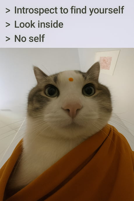 Best Funny look inside Memes - 9GAG