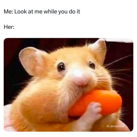 Best Funny snack time stare Memes - 9GAG