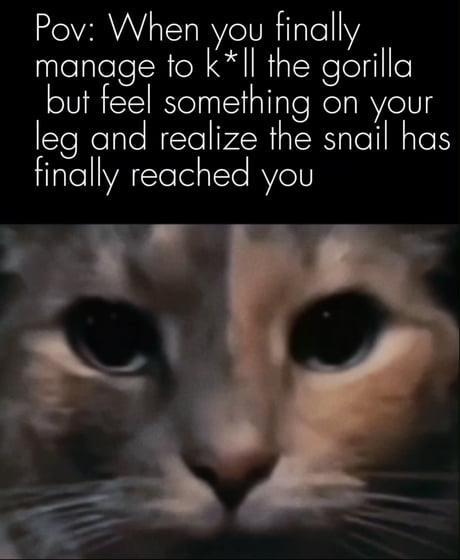 Best Funny snail Memes - 9GAG
