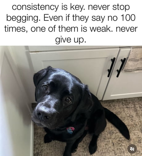 Best Funny beggar Memes - 9GAG