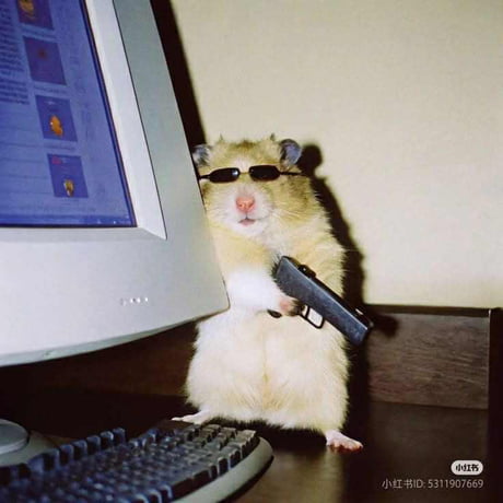 Best Funny hacker Memes - 9GAG
