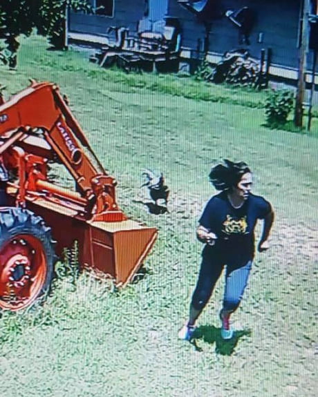 Best Funny rooster Memes - 9GAG