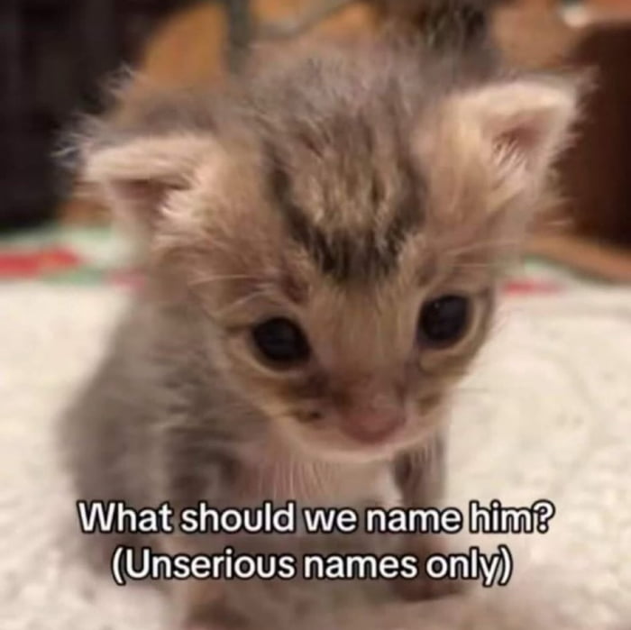 Alright, drop your best unserious names - 9GAG