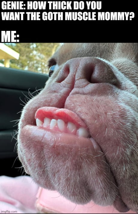 Thick Af Memes 30 Funny AF Memes To Keep You Sufficiently Entertained