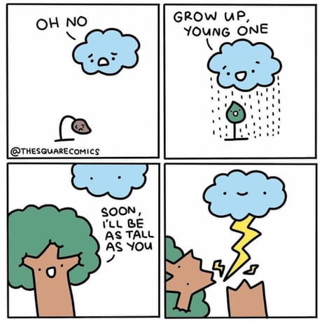 Best Funny tree Memes - 9GAG