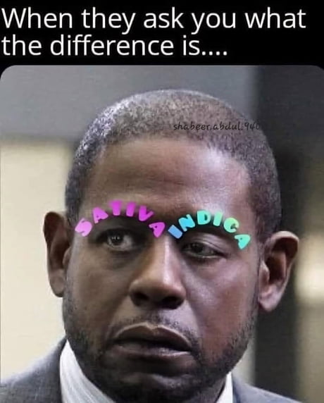 Weed Jokes Memes We All Have That One Friend. (Marijuana Memes)