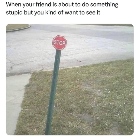 Best Funny stop sign meme Memes - 9GAG