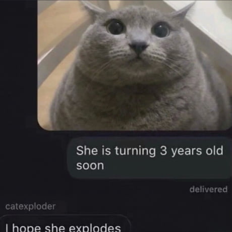 Best Funny exploding cat Memes - 9GAG