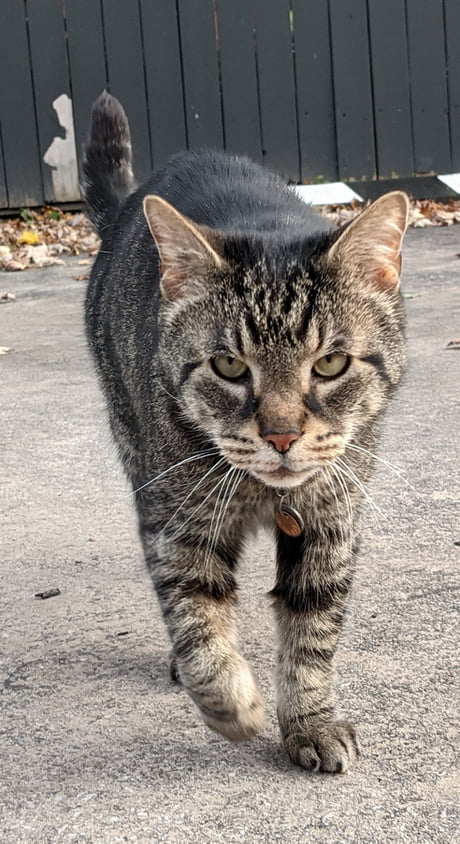 Best Funny samwise gamgee Memes - 9GAG