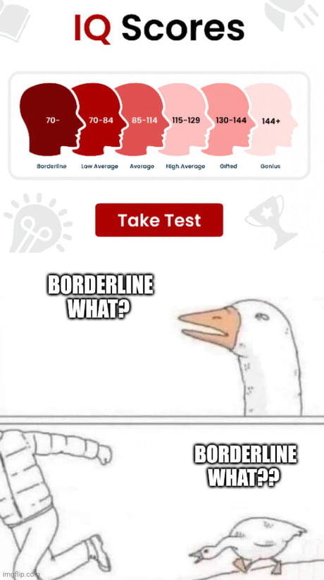 Low Iq Memes Great News! My IQ Test Came Back Negative! Imgflip