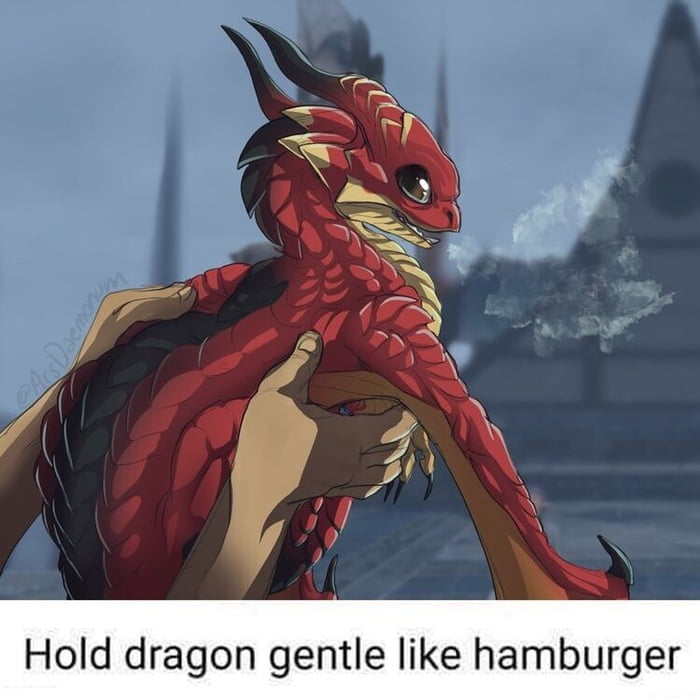 *grabs dragon* - 9GAG