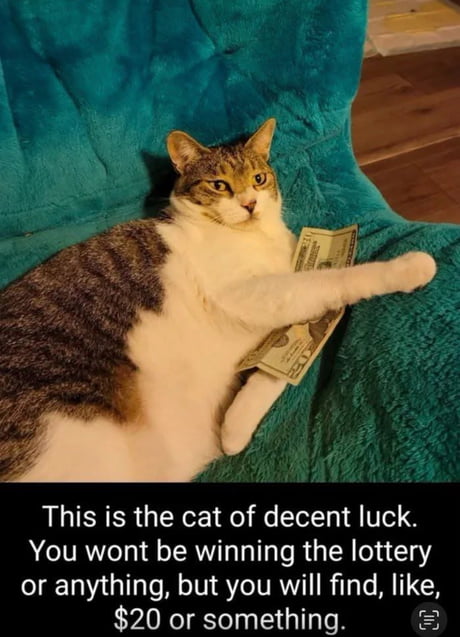 Funny Lucky Memes St. Patrick's Day Memes, Quotes, Captions, And More