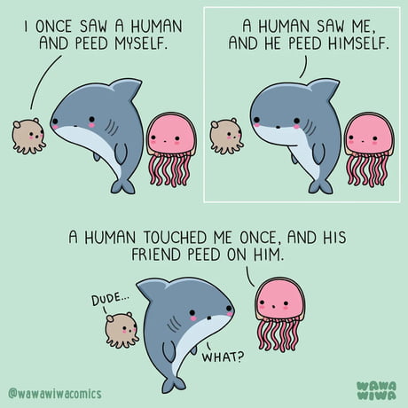 Best Funny human Memes - 9GAG