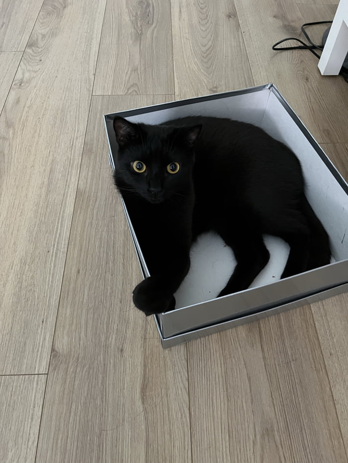 A box full of void - 9GAG