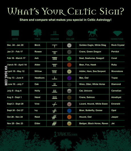 Nupid Stiggers - 9GAG