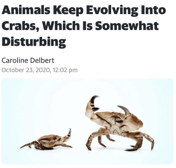 ‘Crabification’ (technically carcinization) has happened on (at least ...