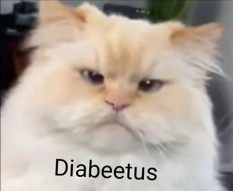 Diabeetus Cat Meme