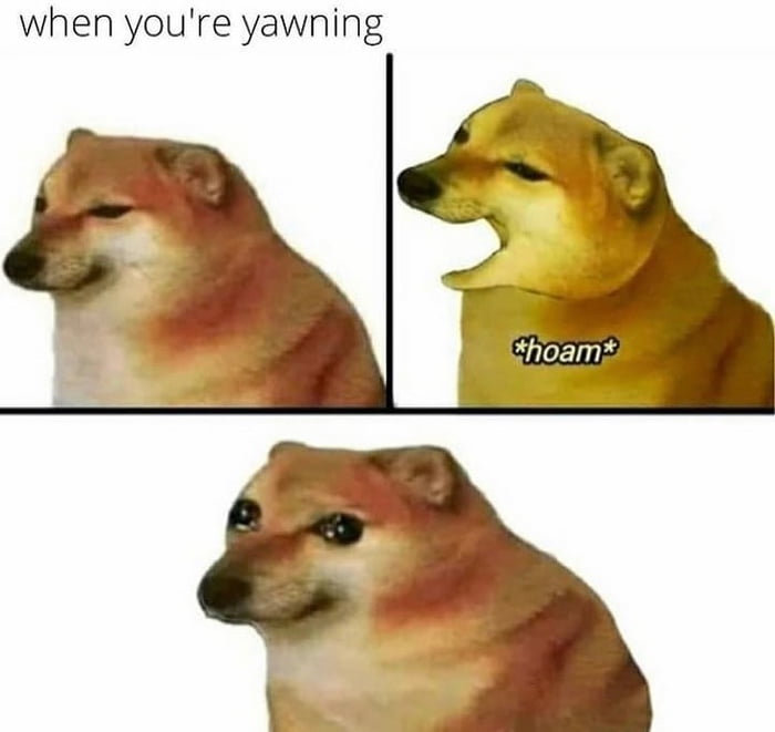 Top tier memes - 9GAG