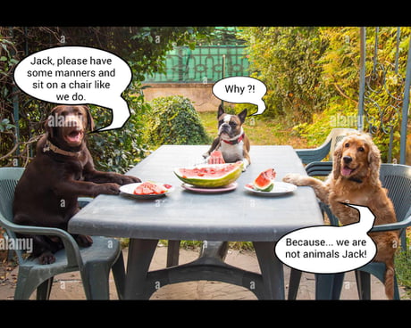 Best Funny Jack Memes - 9GAG