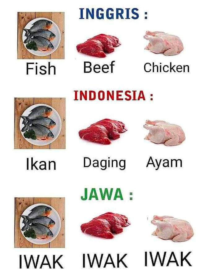 Iwak pitek, iwak sapi, iwak - 9GAG