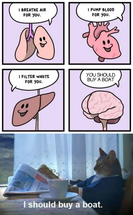 Meme Anarchy | Page 760 | Sailing Anarchy Forums