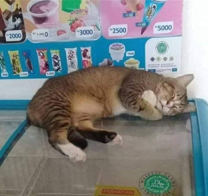 Drop gambar random kalian, buat stiker wa - 9GAG