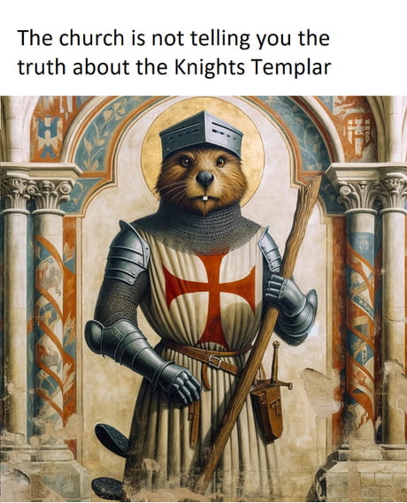 Best Funny templar Memes - 9GAG