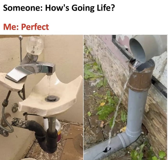 Perfect life. - 9GAG