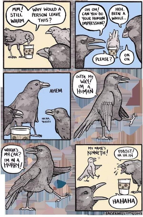 Best Funny crows Memes - 9GAG