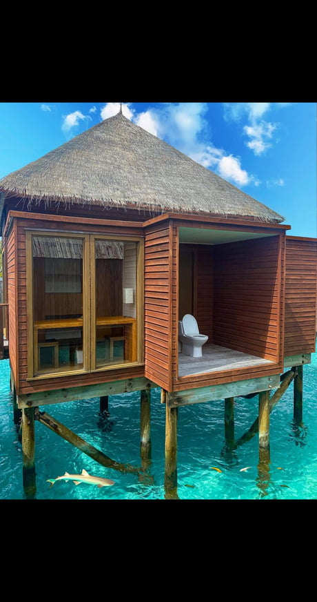 Best Funny maldives Memes - 9GAG