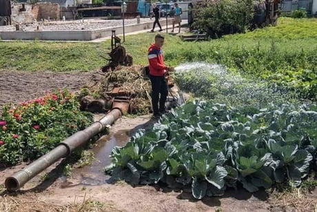 Best Funny fertilizer Memes - 9GAG