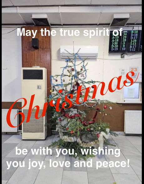 Cordyceps Memes 24 'The Last Of Us' Memes That Actually Make A Good