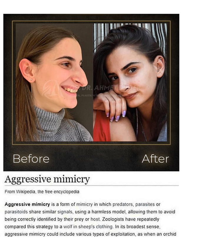 Aggressive mimicry - 9GAG