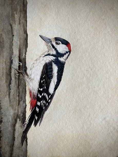 Best Funny watercolor Memes - 9GAG