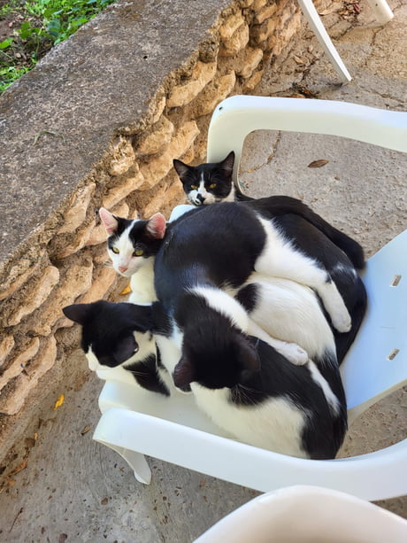 Best Funny copy paste Memes - 9GAG