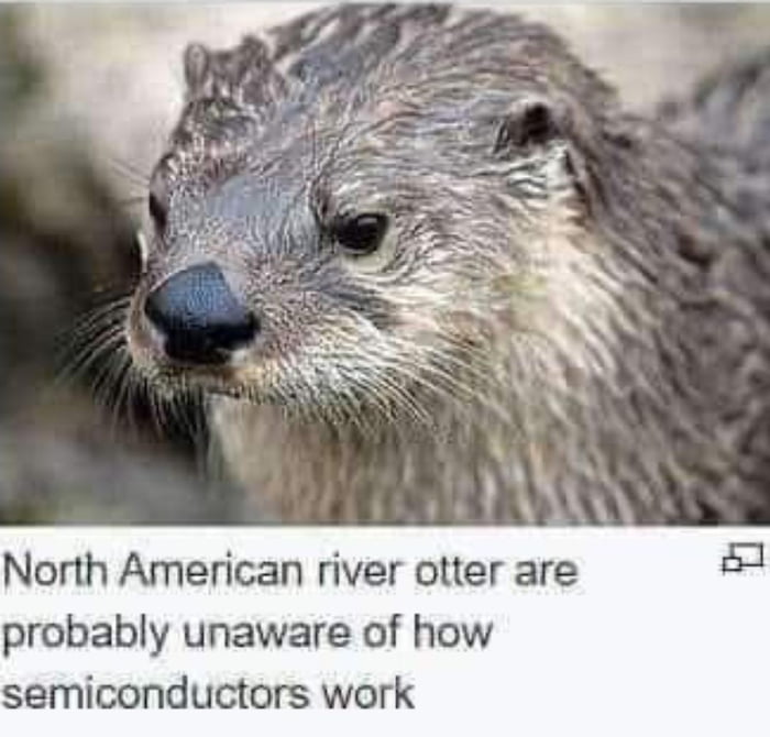 Probably true - 9GAG