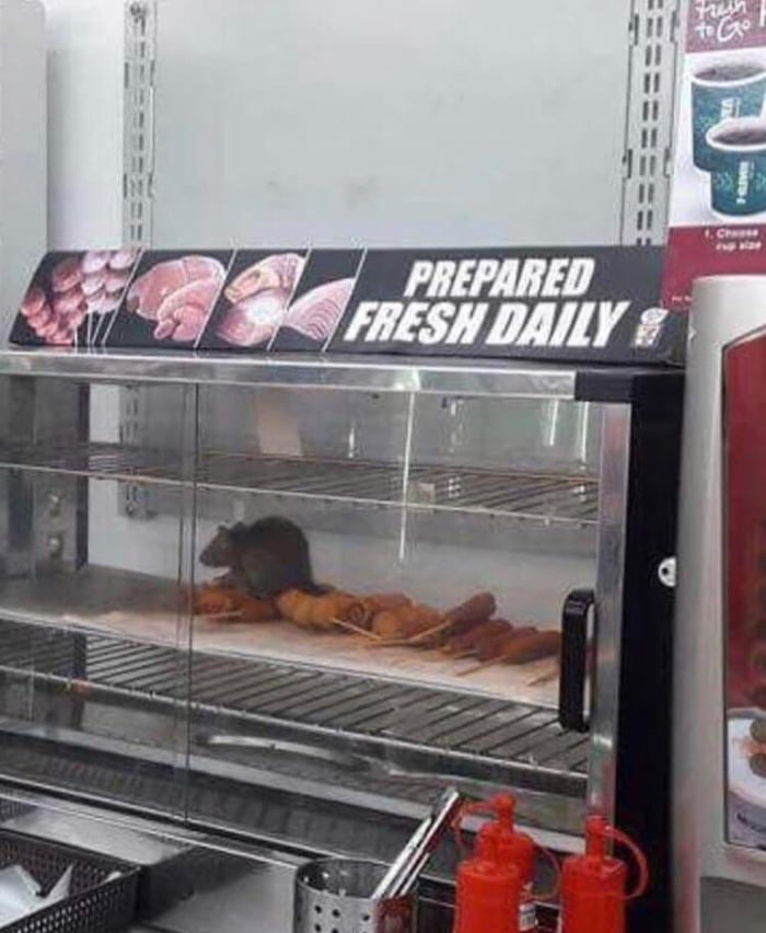 Fresh you say? - 9GAG