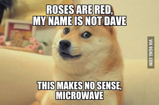 Wow. Such doge. Much poem. - 9GAG